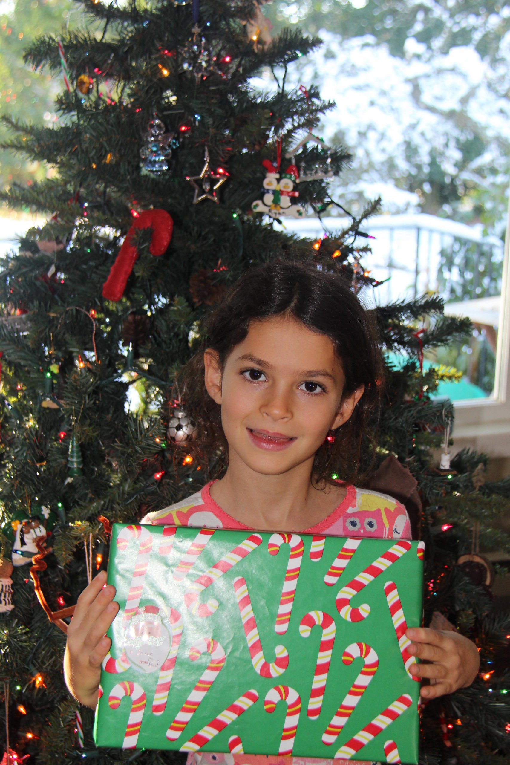 A Heartfelt Christmas Interview, with Sarah! - The Springmans